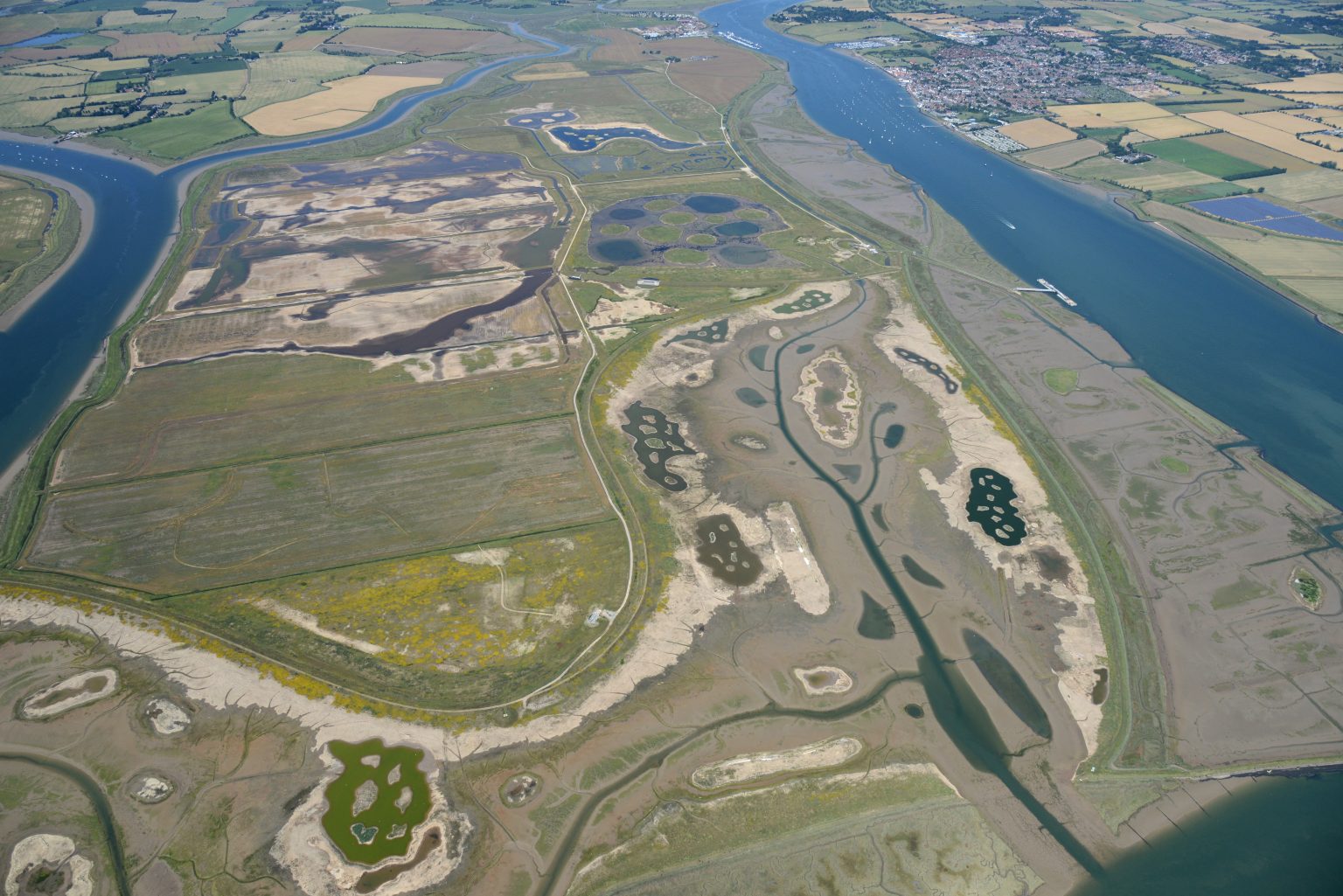 Wild Coast – crouchharbour.uk